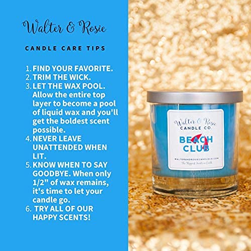 Walter & Rosie Candle Co. - Pixie Dust 11oz Scented Candle Inspired by Disney Scents - Smell Inspired from Peter Pan - The Happiest Scents on Earth - Soy Blend - Up to 40 Hrs