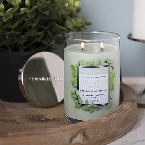 Colonial Candle Eucalyptus Mint Scented Jar Candle, Classic Cylinders Collection, 2 Wick, Green, 11 oz - Up to 80 Hours Burn