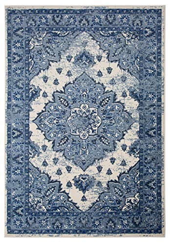 PRIYATE Distressed Vintage Indoor Area Rug 8' x 10' – Persian Style, Medallion, Oriental, Odelia Collection - Easy Clean, Pet Friendly, High Traffic Carpet - Bedroom, Hallway, Living & Dining Room