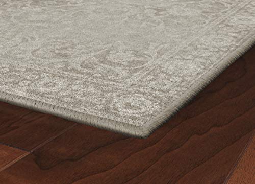Brumlow MILLS Georgiana Traditional Distressed Floral Print Pattern Home Indoor Area Rug for Living Room Decor, Dining, Kitchen Rug, or Bedroom Mat, 30" x 46", Neutral