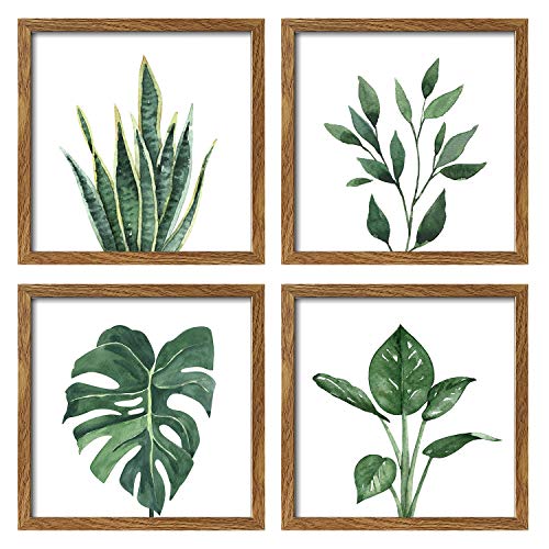 ArtbyHannah 10x10 Inch 4 Panels Botanical Framed Walnut Picture Frame Collage Set for Wall Art Décor with Watercolor Green Leaf Tropical Plant Square Frame for Gallery Wall Kit or Home Decoration