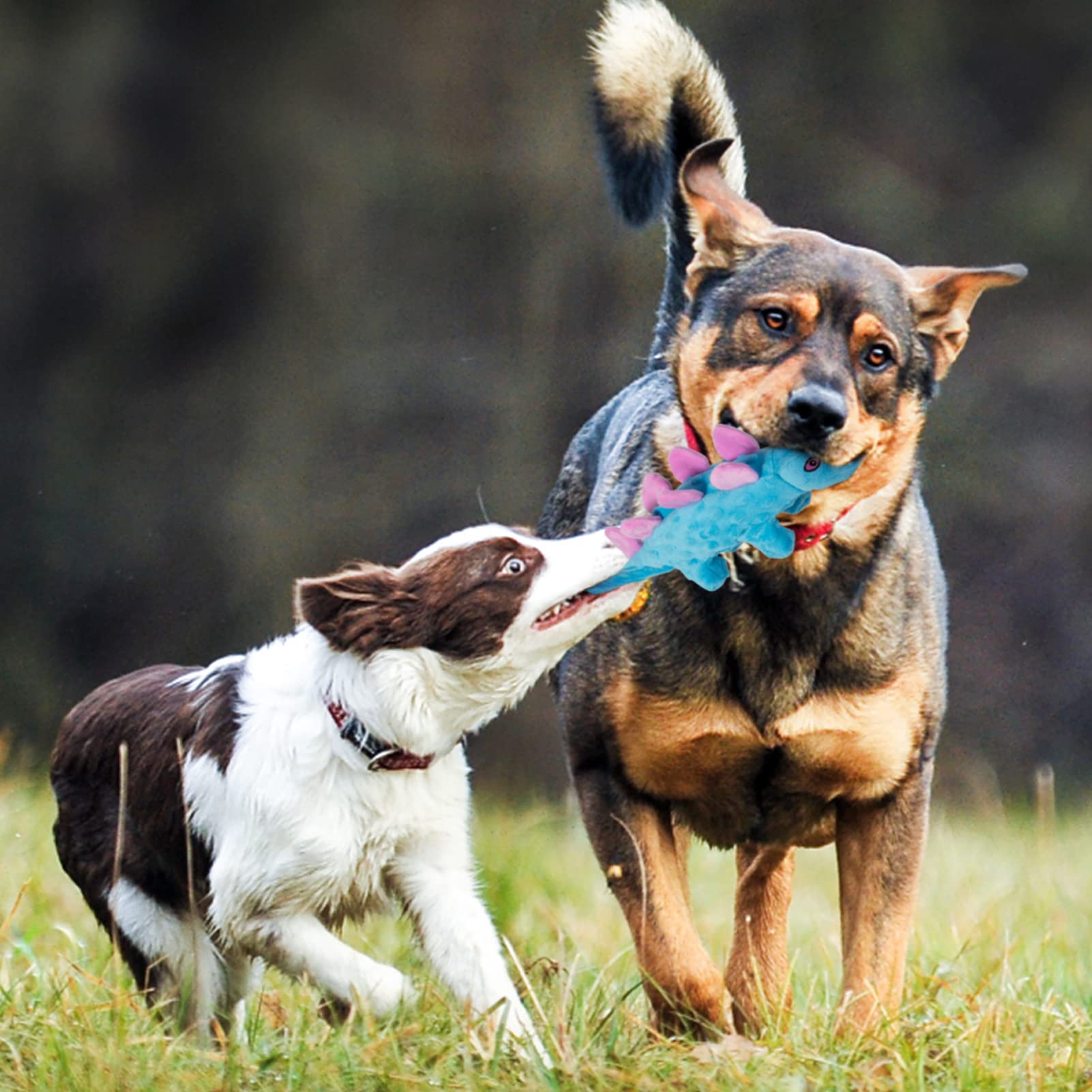 Alphatool Squeaky Dog Toy for Aggressive Chewer, Tough Plush Dog Toys for Large Dogs, Crinkle Interactive Puppy Dog Toys for Small Medium Dogs