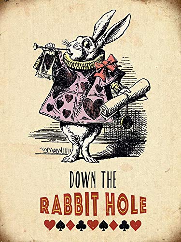 Wallors Metal Signs Vintage Alice in Wonderland - Rabbit Hole Tin Sign 8 x 12 Wall Decor Unique Plaques Poster for Home Cafe Bar