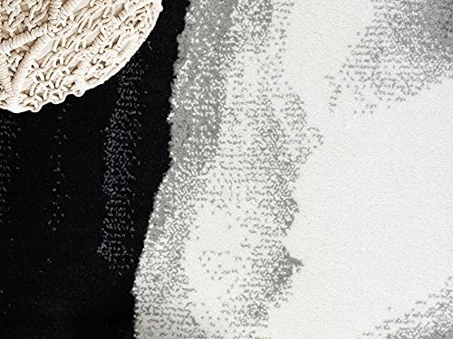 Abani Rugs Modern 5'3"x7'6" Black & White Floral Swirl Area Rug - Contemporary Geometric 3D Rug, Arto Collection