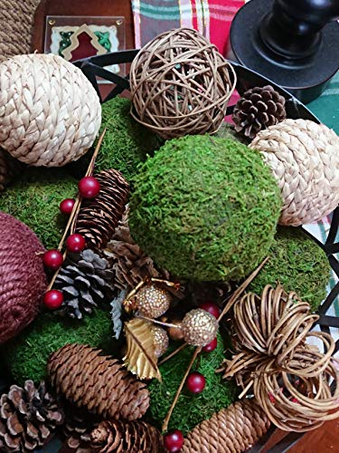 Farmoo Moss Balls Preserved All Natural, 3.5"-Set of 6 (Natural Green)