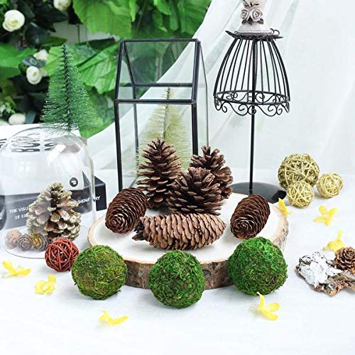 Farmoo Moss Balls Preserved All Natural, 3.5"-Set of 6 (Natural Green)