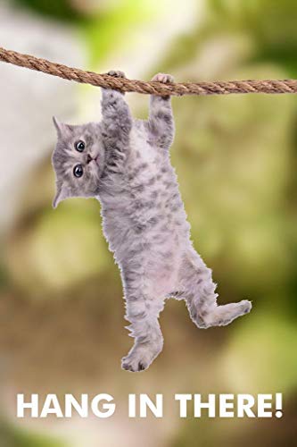 ZMKDLL Cat Hang in There! Cat Retro Metal Sign Poster 12x8 Inch