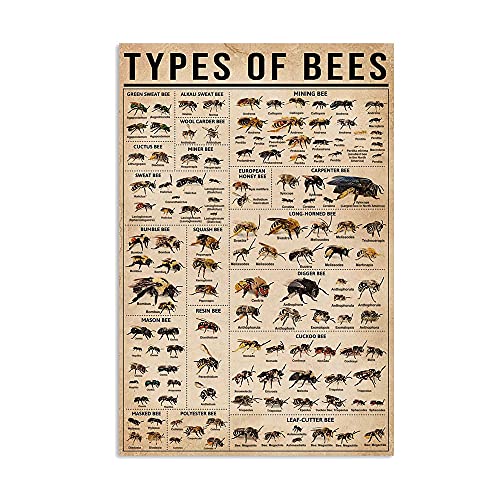 Dreacoss Bee Types Vertical Poster, Types Of Bee Poster, Knowledge Poster, Bee Lover, Honey Bee Lover,Living room wall decoration, frameless 12x16inches,12 x 16 in No Frame