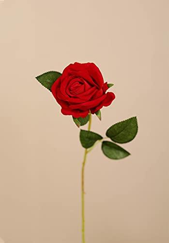 Luyue 10 Pack Artificial Velvet Roses Fake Red Rose Silk Flowers with Stem Floral Gift for Wedding Arrangement Party Home Decor-Red