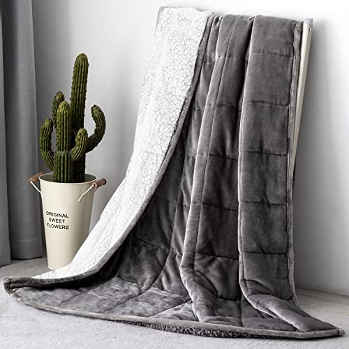 Topblan Sherpa Fleece Weighted Blanket 15lbs, Double Sided with Fuzzy Fleece and Shaggy Sherpa to Help with Better Sleep, 48x72 inches, Grey & White