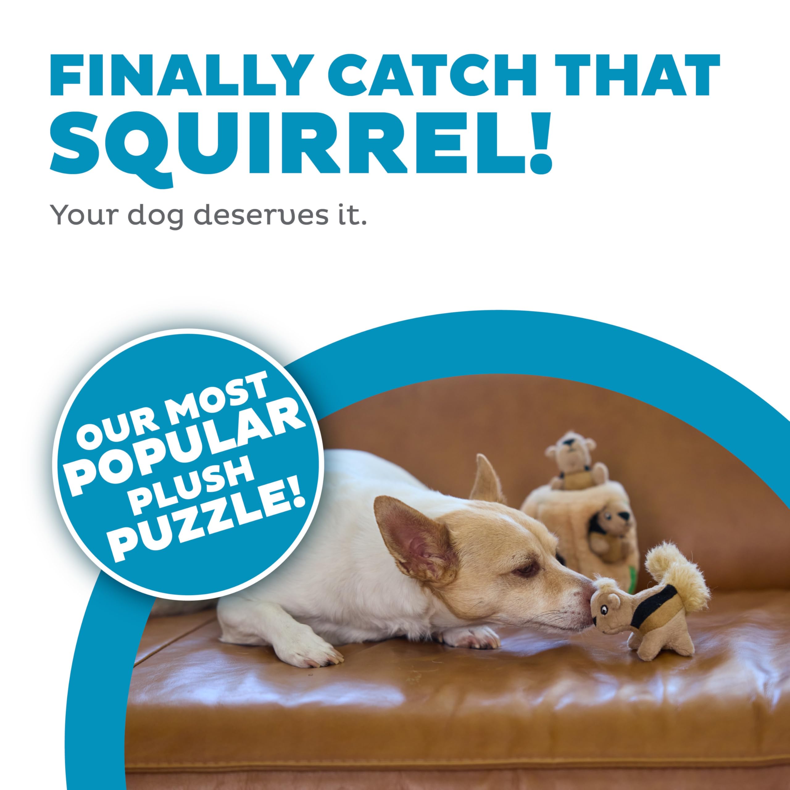 Outward Hound Hide A Squirrel Plush Dog Toy Puzzle, Small