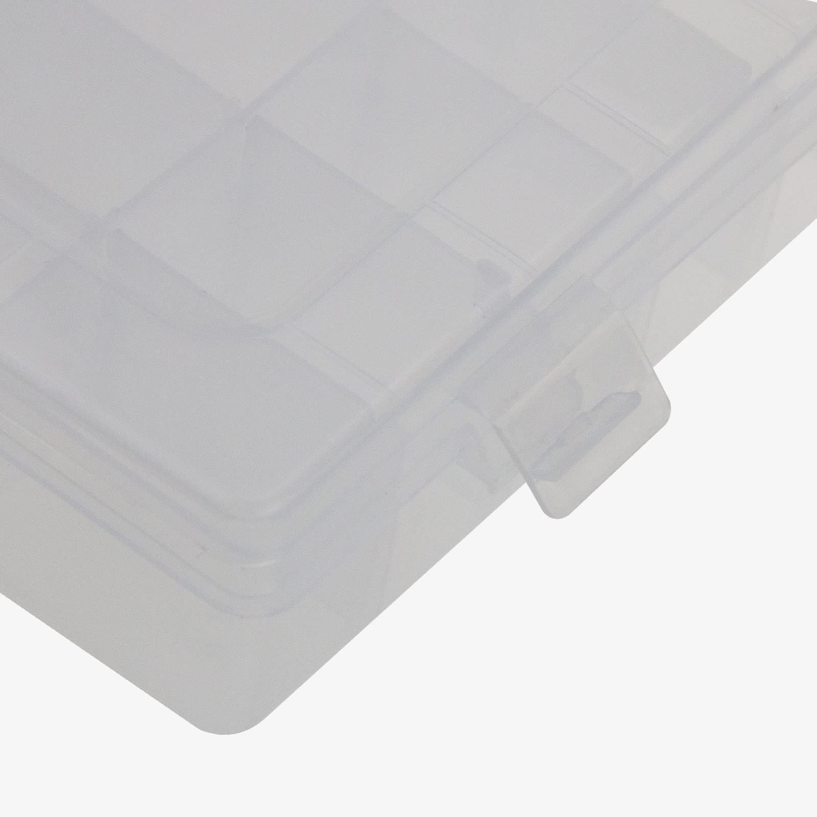 goldblue 24 Grids Clear Plastic Organizer Box,Compartment Clear Plastic Organizer Strap Adjustable Can Be Used for Dividers, Crafts, Jewelry, Buttons, Fishing Tackle Accessories, Small Parts