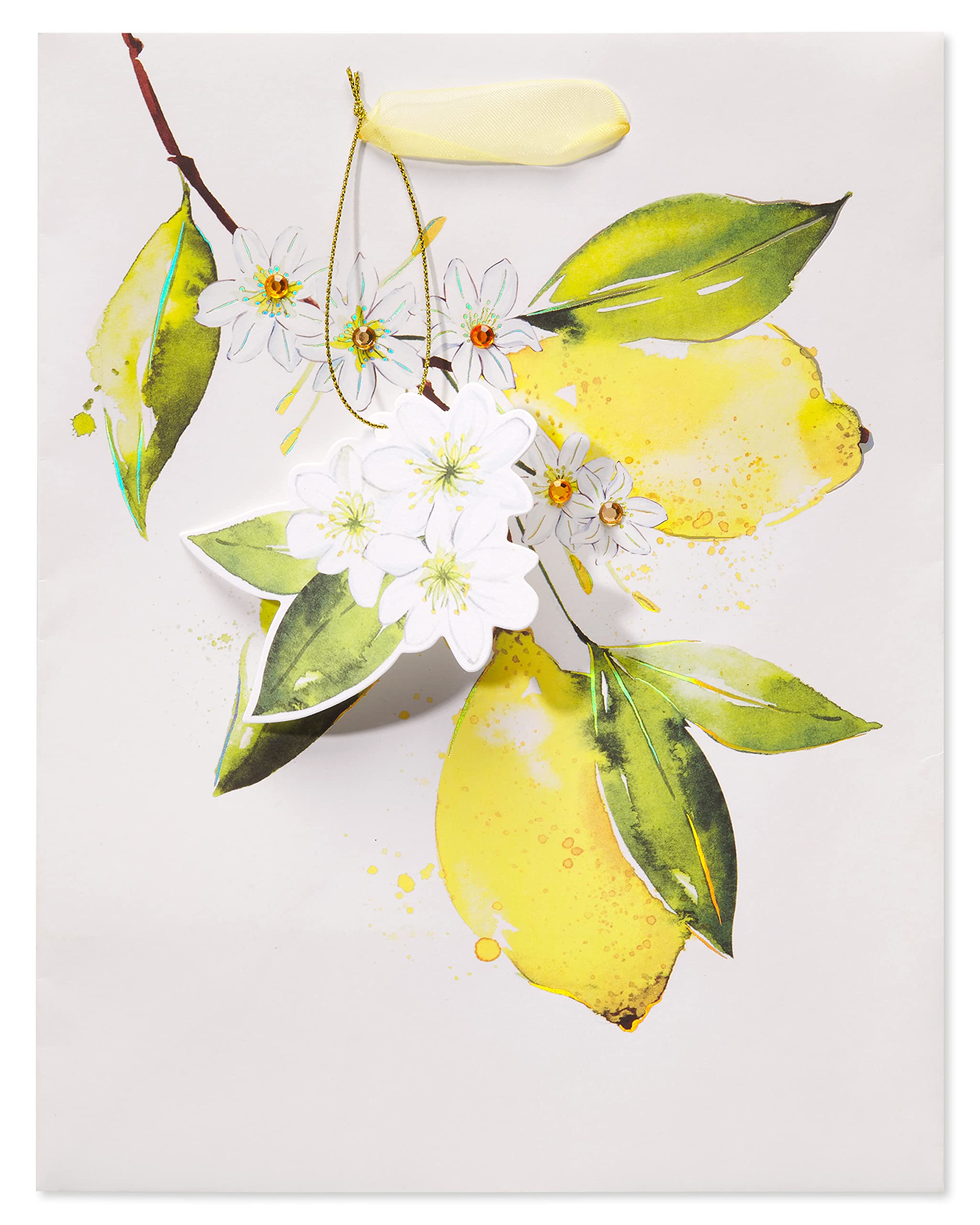 Papyrus 9" Medium Gift Bag (Citrus) for Birthdays, Weddings, Bridal Showers, Baby Showers and All Occasions (1 Bag)