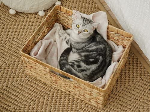 StorageWorks Jumbo Rectangular Wicker Basket, Water Hyacinth Storage Basket with Built-in Handles, 1 Pack
