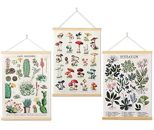 Vintage Posters Plant Wall Art Prints Cottagecore Decor, Mushroom Posters Cactus Wall Art Print Fungi Decor, Rustic Botanical Hanging Posters for Bedroom Room Aesthetic Decors Frames, 16x22Inch x3pcs