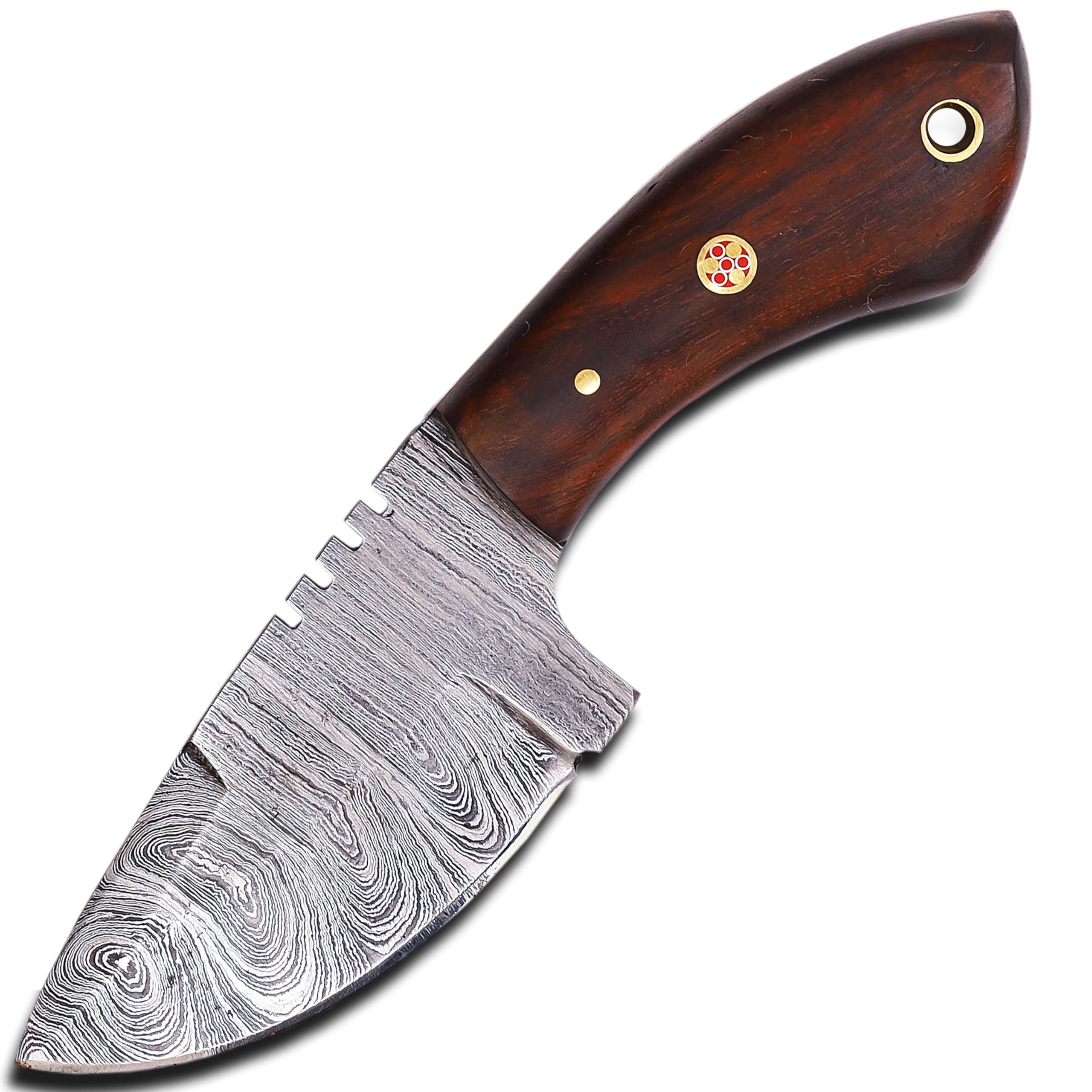 SSSI CRAFT Handmade Fixed Blade High Carbon Steel , Damascus Steel Hunting Knives ,EDC , Mini Neck , Survival and Pocket Knife For Men With Sheath