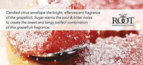 Root Candles Honeycomb Beeswax Blend Scented Candle, 12-Ounce, Sugared Grapefruit
