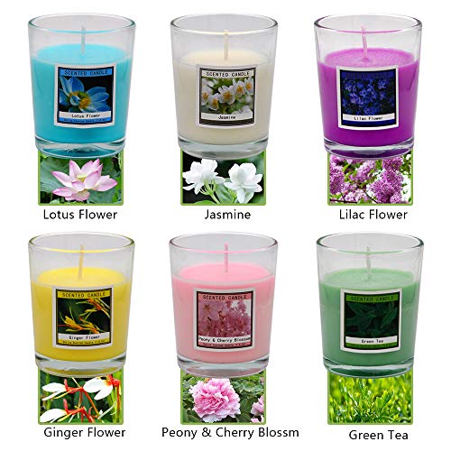 12 Packs Scented Aromatherapy Candle Set, 1.8 Oz Soy Votive Candle for Home Decoration, Candle Gifts for Christmas Thanksgiving and Anniversary