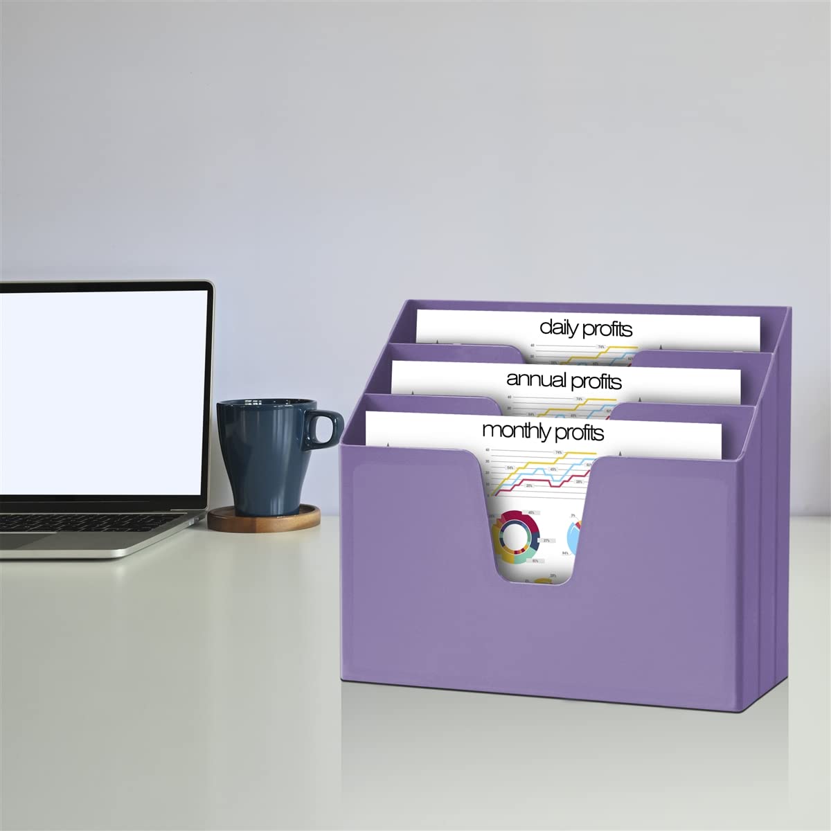 Acrimet Horizontal Triple File Folder Holder Organizer (Purple Color)