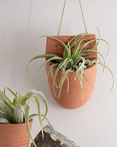 Foreside Home & Garden Terracotta Hanging Wall Storage Pocket with Jute Hanger