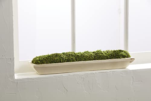 Mud Pie Preserved Moss Paulownia Tray, Natural, 5 3/4" x 25 3/4"