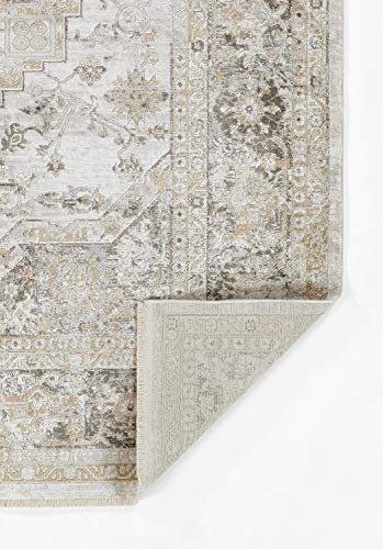 Momeni Cambridge Viscose and PES Traditional Indoor Area Rug, Taupe, 2'2" X 3'11"
