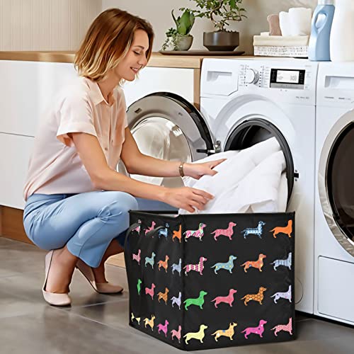 Blueangle Dachshund Dogs Cube Storage Bin with Handles, 13 x 13 x 13 in, Large Collapsible Organizer Storage Basket for Home Décor(1116)