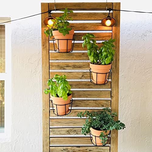 EIMQUVW 4 Pack Round Hanging Railing Planters Basket Metal Balcony Planters Railing Hanging Flower Pot Holders for Outside,Indoor,Balcony,Garden(20CM)