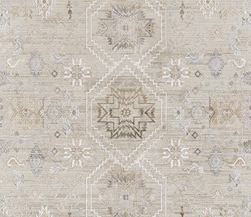 Momeni Cambridge Viscose and PES Traditional Indoor Area Rug, Grey, 3'11" X 5'5"