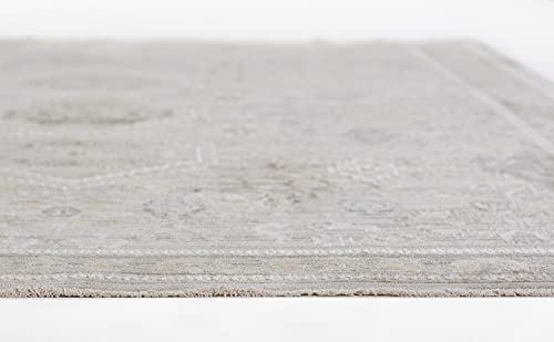 Momeni Cambridge Viscose and PES Traditional Indoor Area Rug, Grey, 3'11" X 5'5"