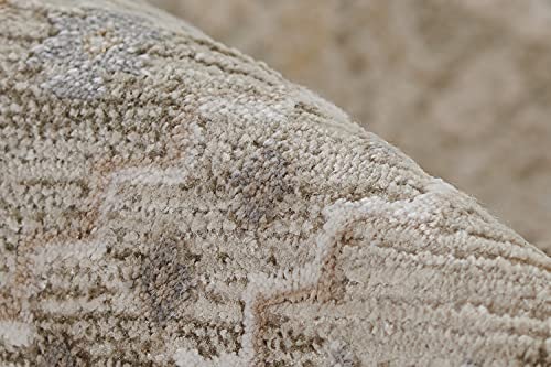 Momeni Cambridge Viscose and PES Traditional Indoor Area Rug, Grey, 3'11" X 5'5"