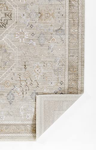 Momeni Cambridge Viscose and PES Traditional Indoor Area Rug, Grey, 3'11" X 5'5"