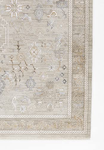 Momeni Cambridge Viscose and PES Traditional Indoor Area Rug, Grey, 3'11" X 5'5"