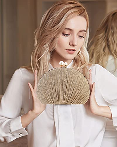 Felice Ann Women Mini Seashell Evening Bag Clutch Handbag Chain Strap Cross-body Shoulder Bag,Pleated Golden