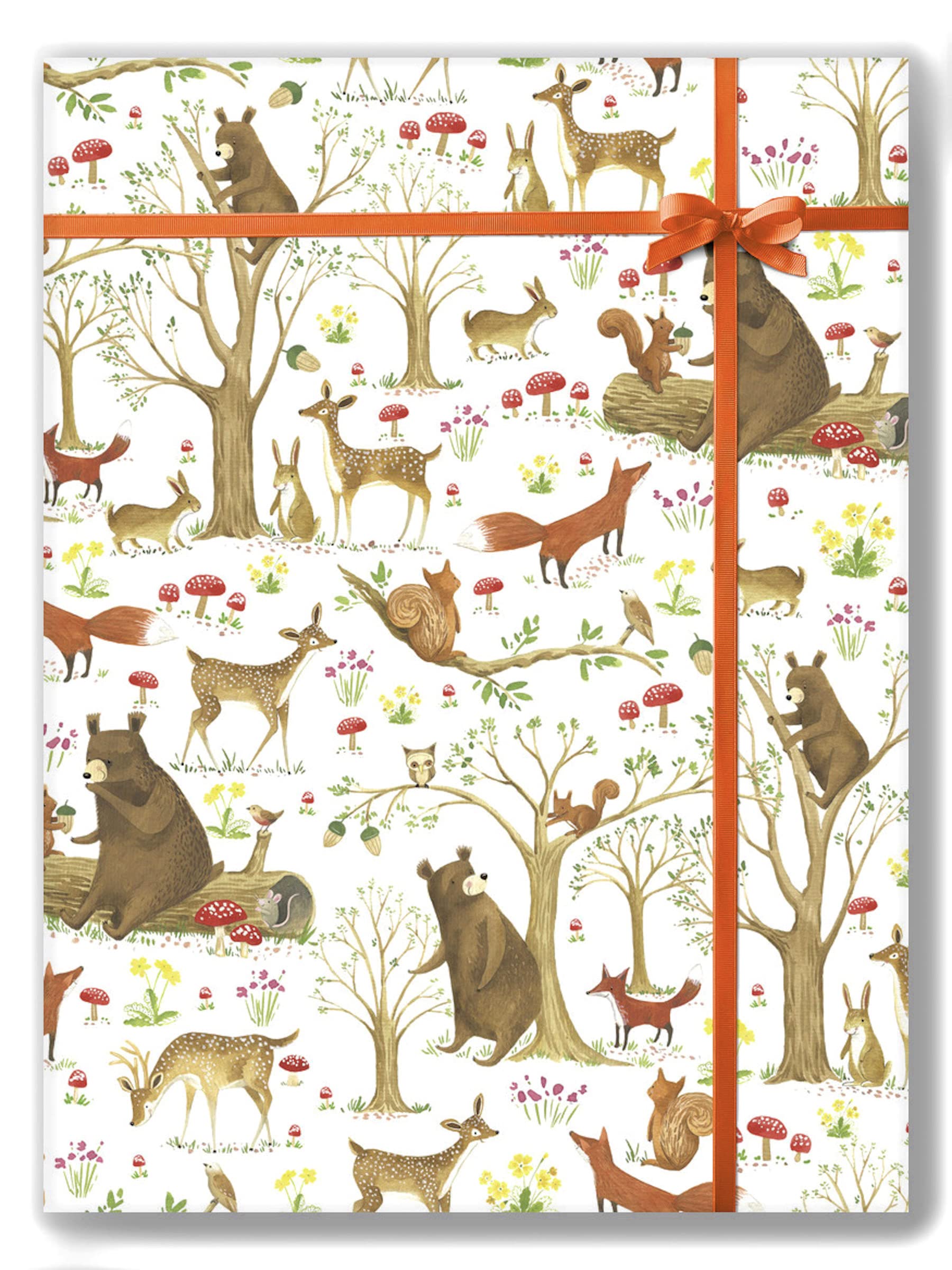 Colors of Rainbow Flat Sheet Wrapping Paper Featuring Enchanted Fairytale Forest with Animal Friends Squirrels Foxes Rabbits And Bears Gift Wrap (Fairytale Forest)