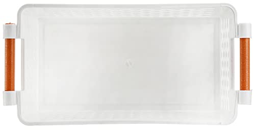 Yesland 6 Pack Plastic Storage Basket, White Organizing Bins Basket with Handles, Sturdy Plastic Closet Baskets Containers for CD, Small Closet Storage in Home Office - 12 x 6 x 5 Inches