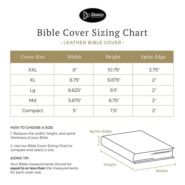Divinity Boutique Bible Cover XXL - Blue Floral Love has Been Poured into Our Hearts - Romans 5:5
