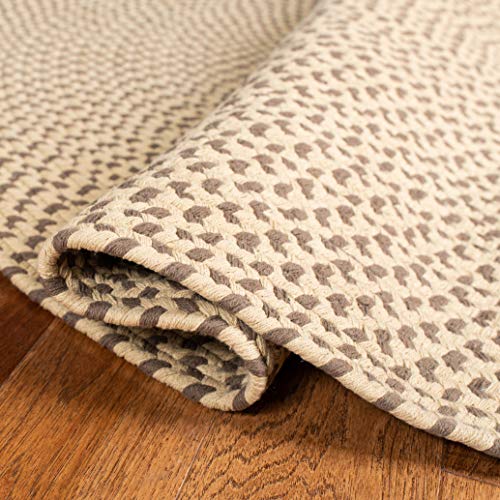 SAFAVIEH Braided Collection 4' x 6' Beige/Brown BRD173A Handmade Country Cottage Reversible Cotton Area Rug
