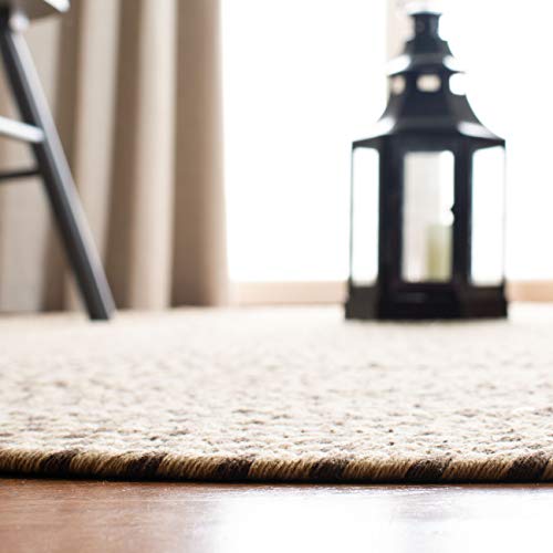 SAFAVIEH Braided Collection 4' x 6' Beige/Brown BRD173A Handmade Country Cottage Reversible Cotton Area Rug