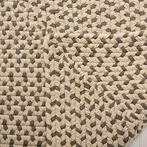 SAFAVIEH Braided Collection 4' x 6' Beige/Brown BRD173A Handmade Country Cottage Reversible Cotton Area Rug
