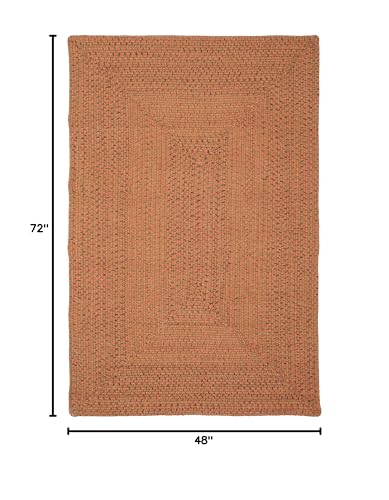 SAFAVIEH Braided Collection 4' x 6' Multi BRD166A Handmade Country Cottage Reversible Cotton Area Rug