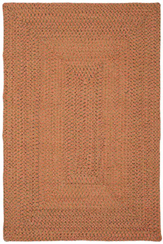 SAFAVIEH Braided Collection 4' x 6' Multi BRD166A Handmade Country Cottage Reversible Cotton Area Rug