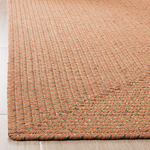 SAFAVIEH Braided Collection 4' x 6' Multi BRD166A Handmade Country Cottage Reversible Cotton Area Rug