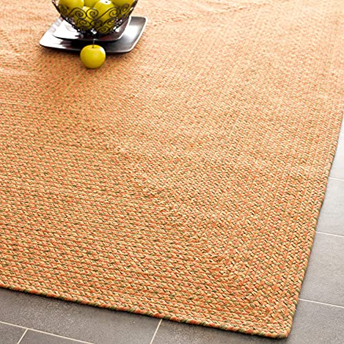SAFAVIEH Braided Collection 4' x 6' Multi BRD166A Handmade Country Cottage Reversible Cotton Area Rug