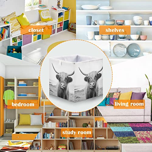 WELLDAY Storage Basket Highland Cow Foldable 11 x 11 x 11 in Cube Storage Bin Home Decor Organizer Storage Baskets Box for Toys, Books, Shelves, Closet, Laundry, Nursery