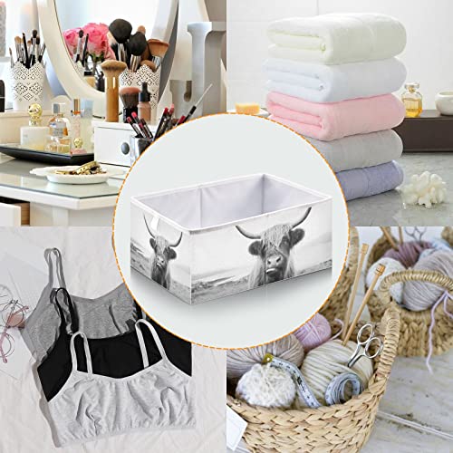 WELLDAY Storage Basket Highland Cow Foldable 11 x 11 x 11 in Cube Storage Bin Home Decor Organizer Storage Baskets Box for Toys, Books, Shelves, Closet, Laundry, Nursery