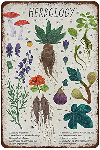 Retro Metal Tin Sign Herbology Poster Plant Magic Poster Vintage Metal Plaque Wall Decor Gift For Bathroom Restaurant Farm Bedroom Cafe School 8x12 Inch