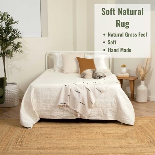 Homespice George Natural Jute Rug 4x6', Beautifully Hand Braided Farmhouse Rug in Rustic Burlap Style, Reversible, and Durable Braided Rug