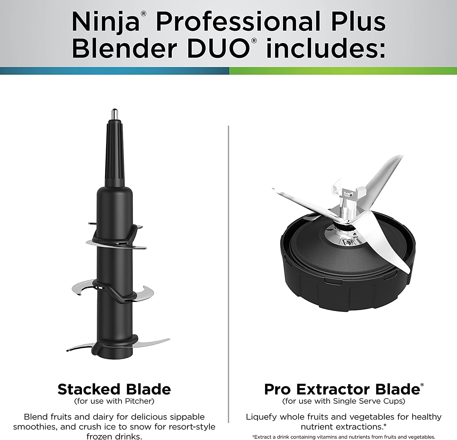 Ninja BN751 Professional Plus DUO Bender, 1400 Peak Watts, 3 Auto-IQ Programs for Smoothies, Frozen Drinks & Nutrient Extractions, 72-oz. Total Crushing Pitcher & (2) 24 oz. To-Go Cups, Dark Grey