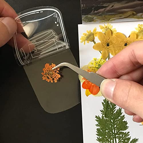 znvwki Transparent Dried Flower Bookmarks, Dried Flower Bookmark, Dried Flower Bookmarks Craft, DIY Bookmarks, Pressed Flower Bookmark Kit with Tweezers